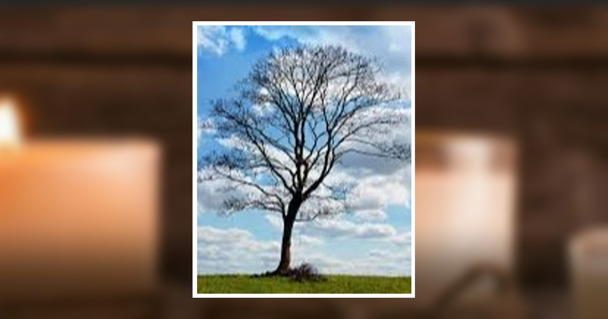 Steve Rahn Obituary October 24, 2022 - Brosmer-Kemple Funeral Home