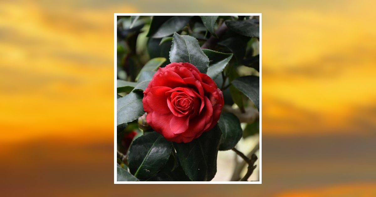 Shauna L. McKay Obituary September 23, 2023 - Gaylord Funeral Home