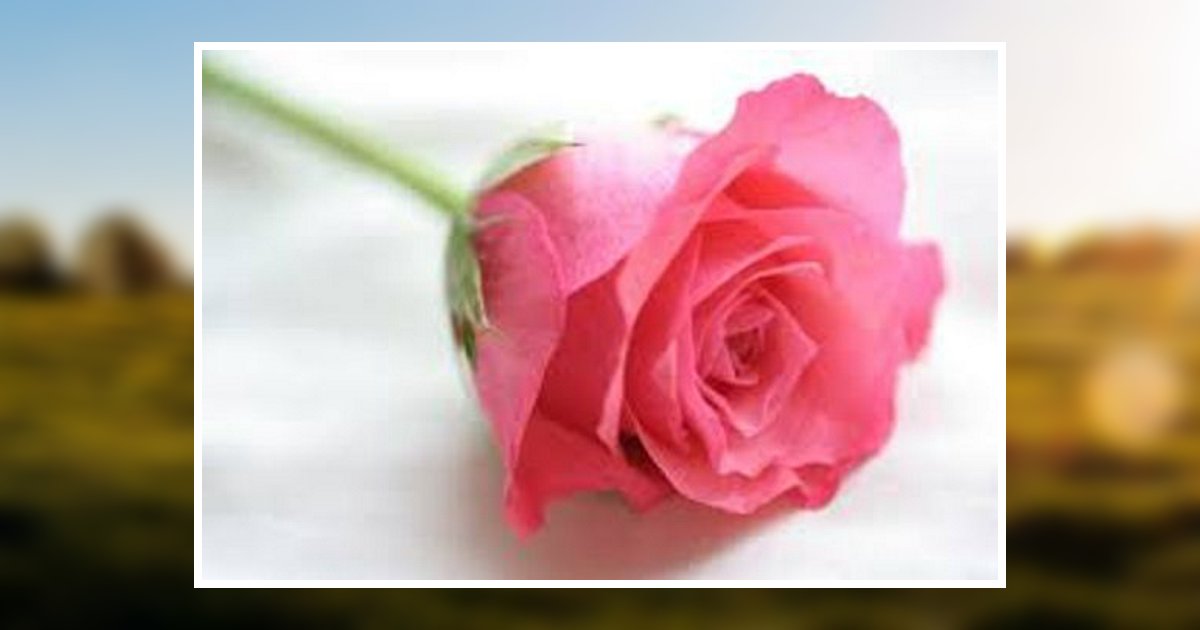 Fern Yvonne Blevins Obituary August 10, 2022 - Lewis & Gillum Funeral Homes