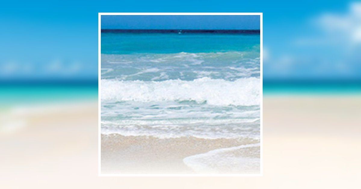 James E. Mcclellan Obituary February 11, 2012 - Newcomer Dayton