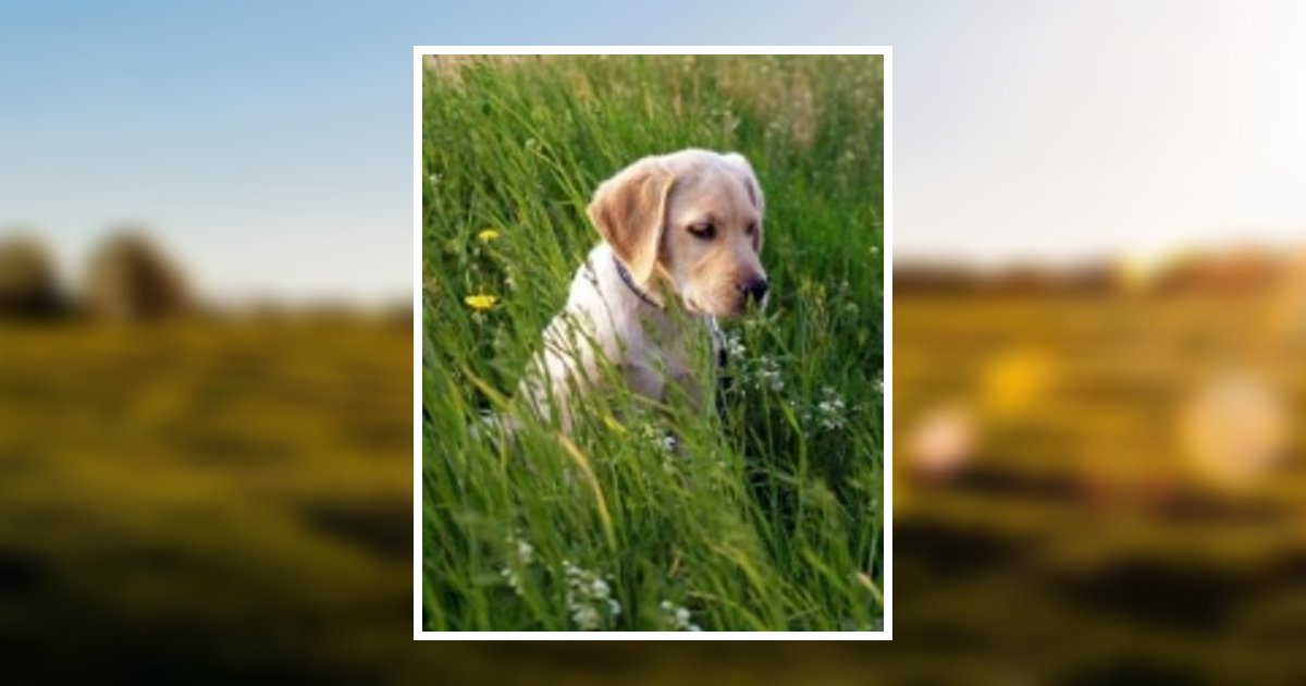 Ronald Bruce Breckenridge Obituary February 10, 2021 - James C Stump ...