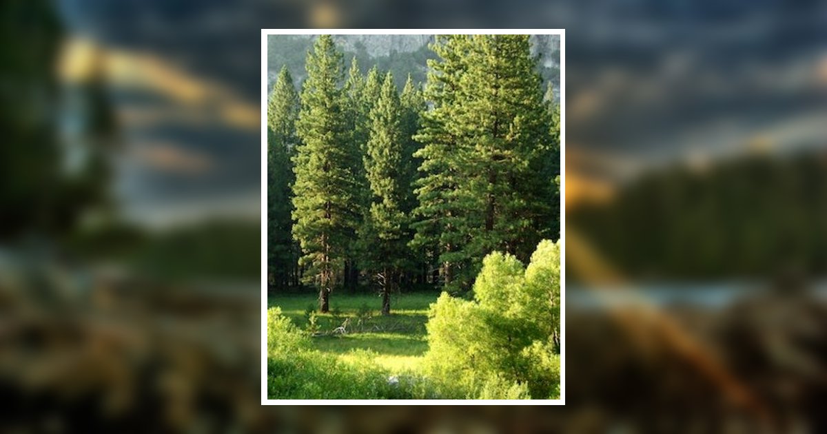 Barry Singleton Obituary February 19, 2024 - McAdams Mortuary