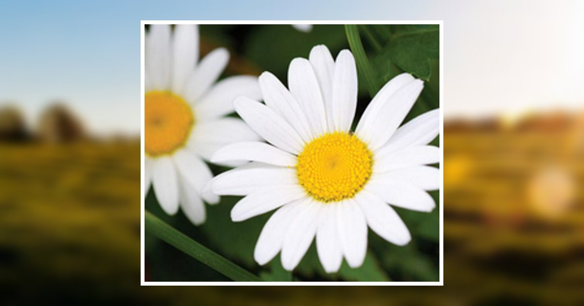 Maxine Bailey Obituary October 12, 2014 - Serenity Funeral Home and ...