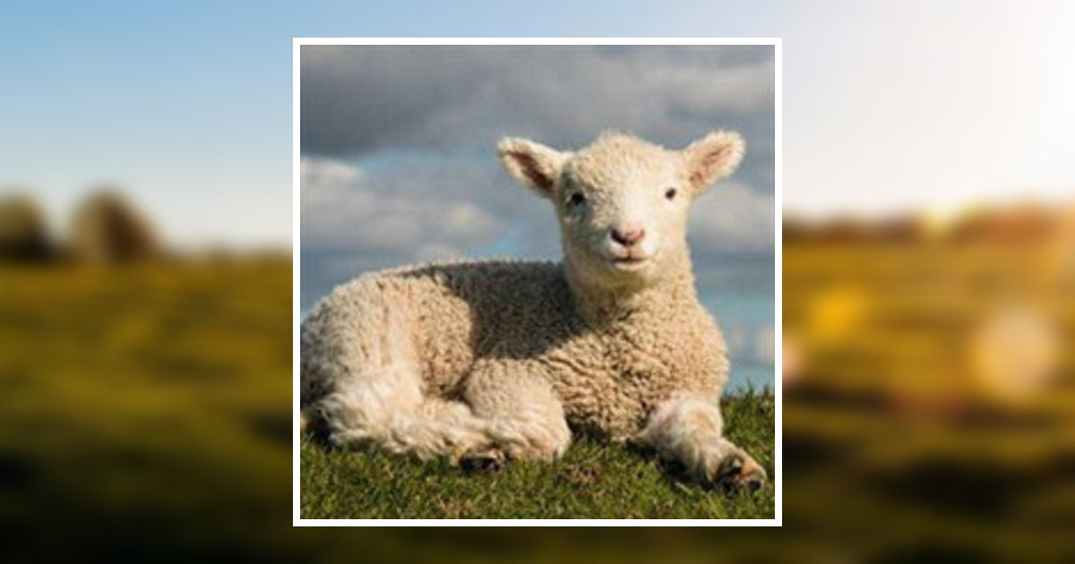 Gracie Marie Moody Obituary June 8, 2020 - Alexander Funeral Service