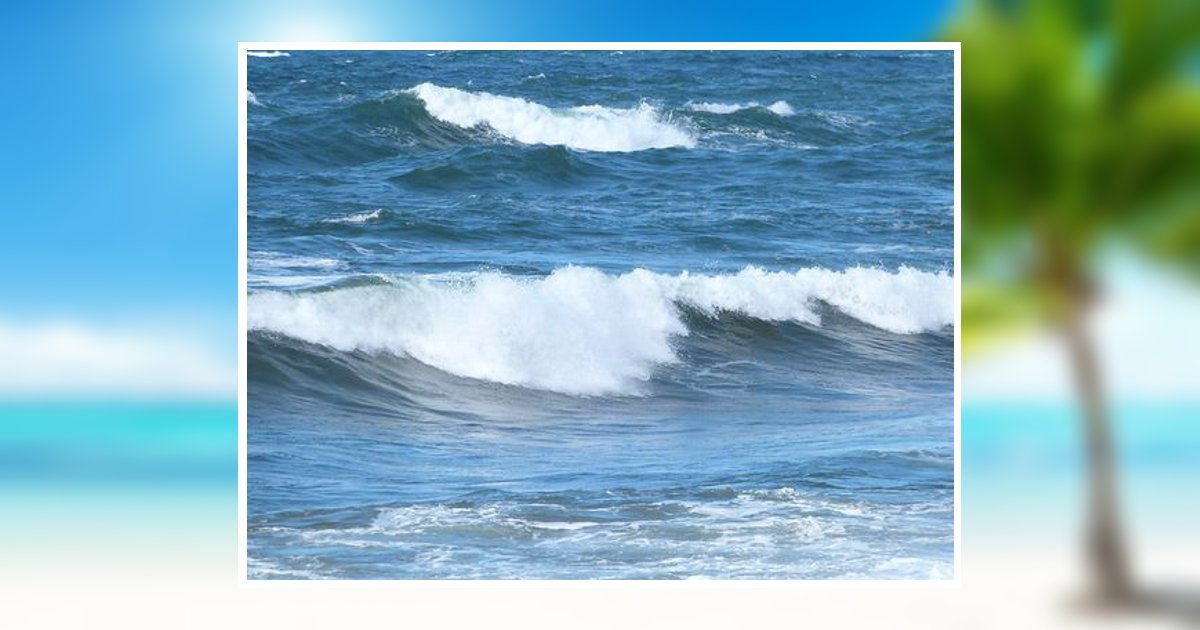 Douglas Lynn Johnson Obituary December 2, 2024 - Shannon Funeral Home ...