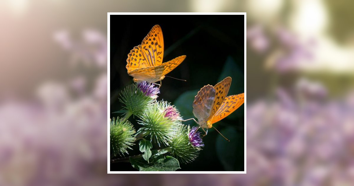 Bonnie Ammons Noggle Obituary October 22, 2024 - Smith Family Funeral Home