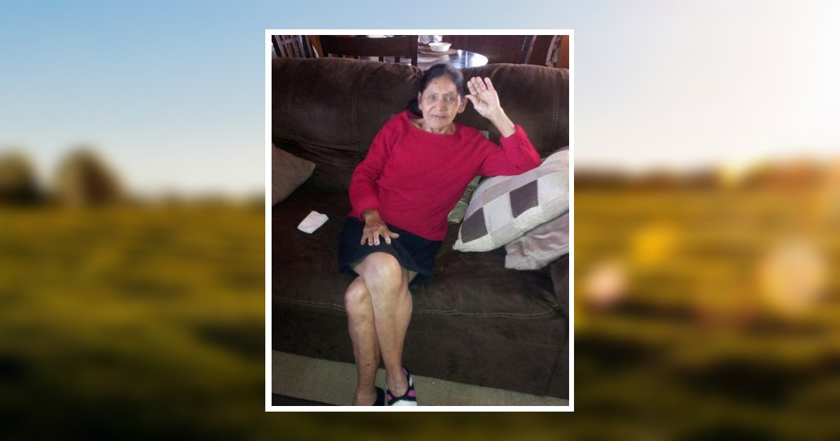 Carmen M. Castro Obituary January 1, 2024 - R. Mackowiak Funeral Home Inc.