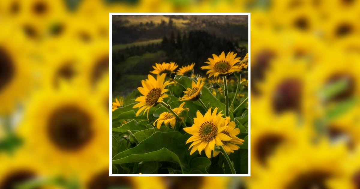 Betty Jean Flaherty Obituary September 23, 2025 - Weldon Funeral Home