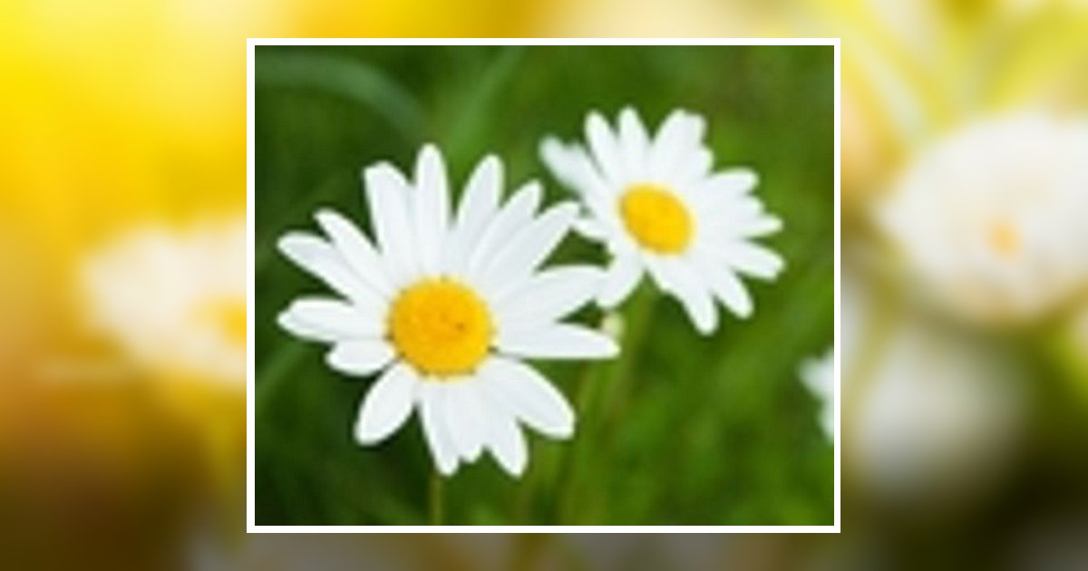 Era Ransom Obituary November 3, 2016 - Linville Memorial Funeral Home