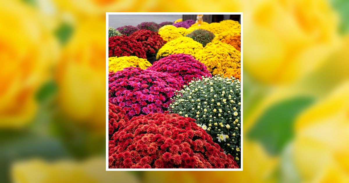 Barbara Russell Obituary August 14, 2025 - Crosier - Pearson Cleburne ...