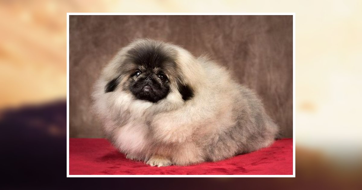 Gwendolyn B. "Beryl" Olson Obituary July 22, 2025 - Fir Lawn Funeral Chapel