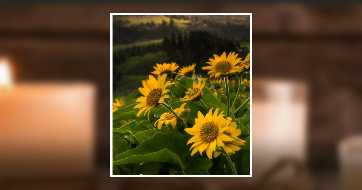 Susan J. Marchak Obituary February 11, 2024 - Joyce Funeral Home