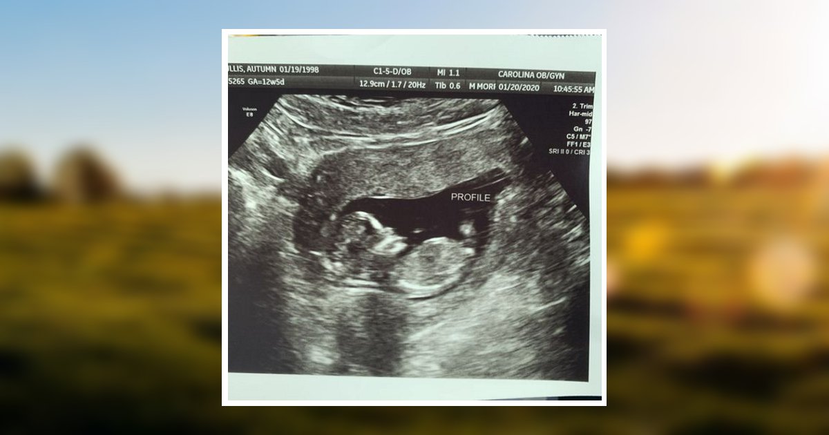 Infant Leanna Payton Whitmore Obituary May 20, 2020 - Palmetto Funeral ...