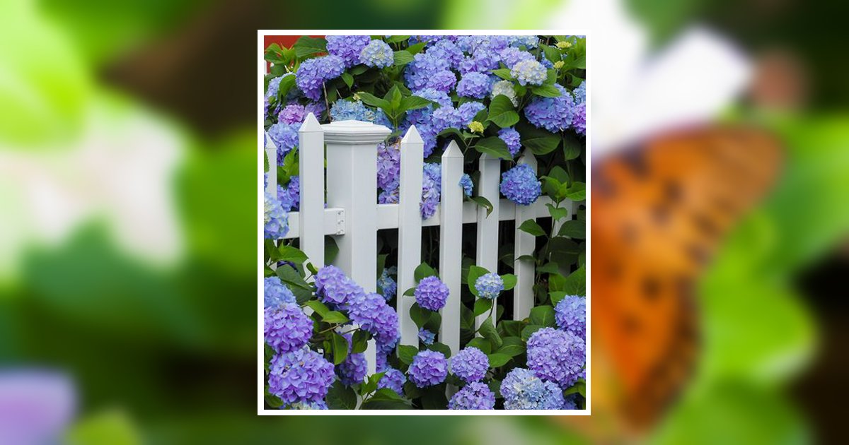 E. Louise Jones Obituary December 22, 2025 - Moore-Blanchard Funerals ...