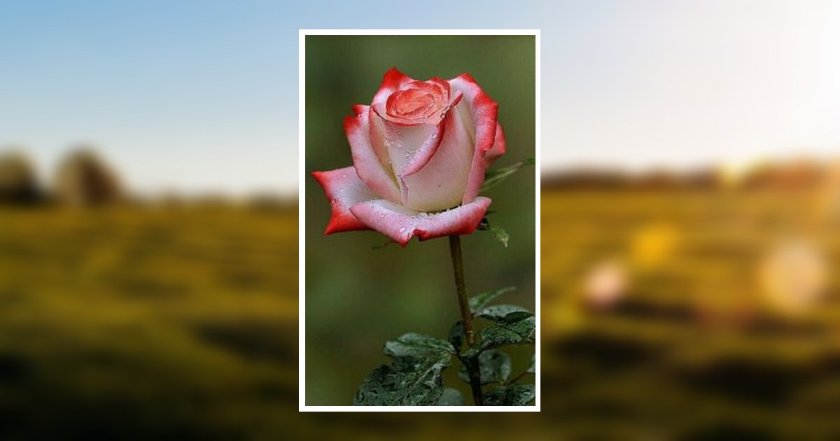 Nancy Sharon Wise Martin Obituary March 6, 2025 - Browning-Duffer ... Nancy Sharon Wise Martin Obituary March 6, 2025 - Browning-Duffer ...