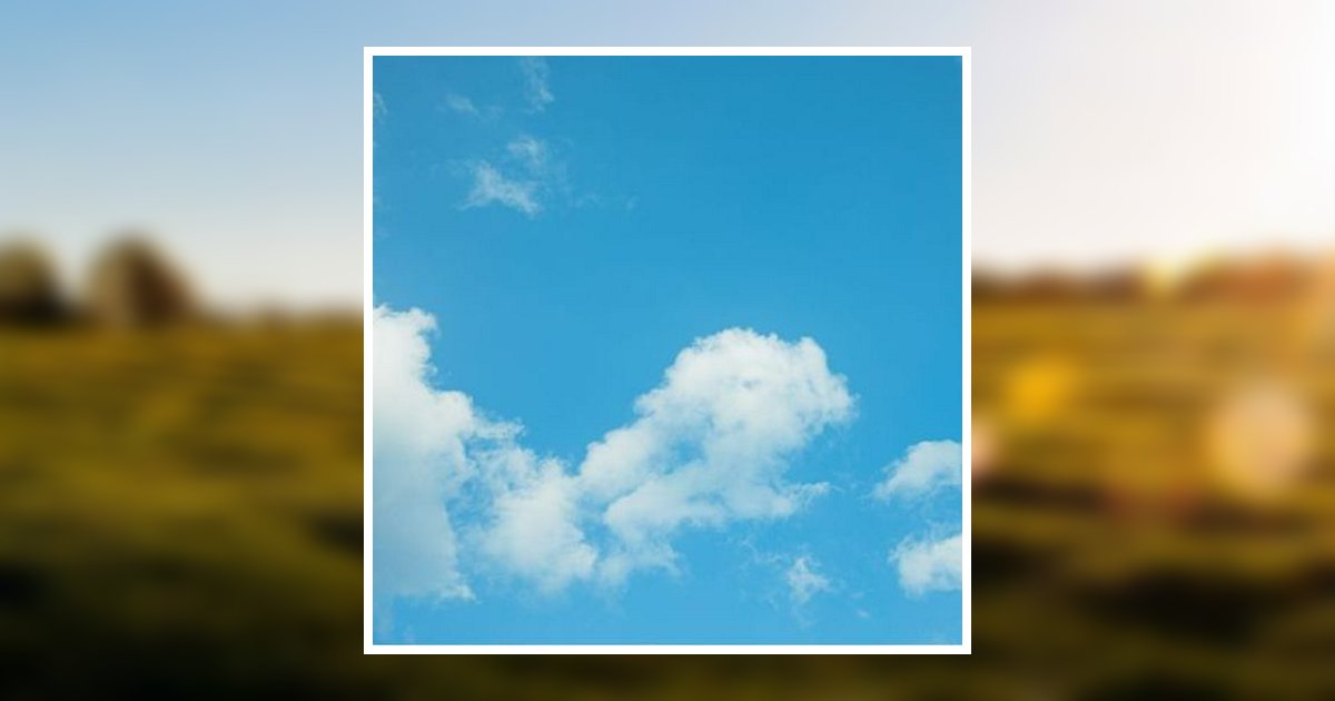 Patricia Ann Stapleton Obituary February 14, 2015 - O'Connell Family ...