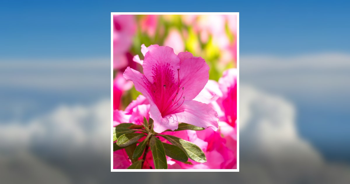 Barbara Lee Glass Epstein Obituary February 17, 2023 - J Henry Stuhr