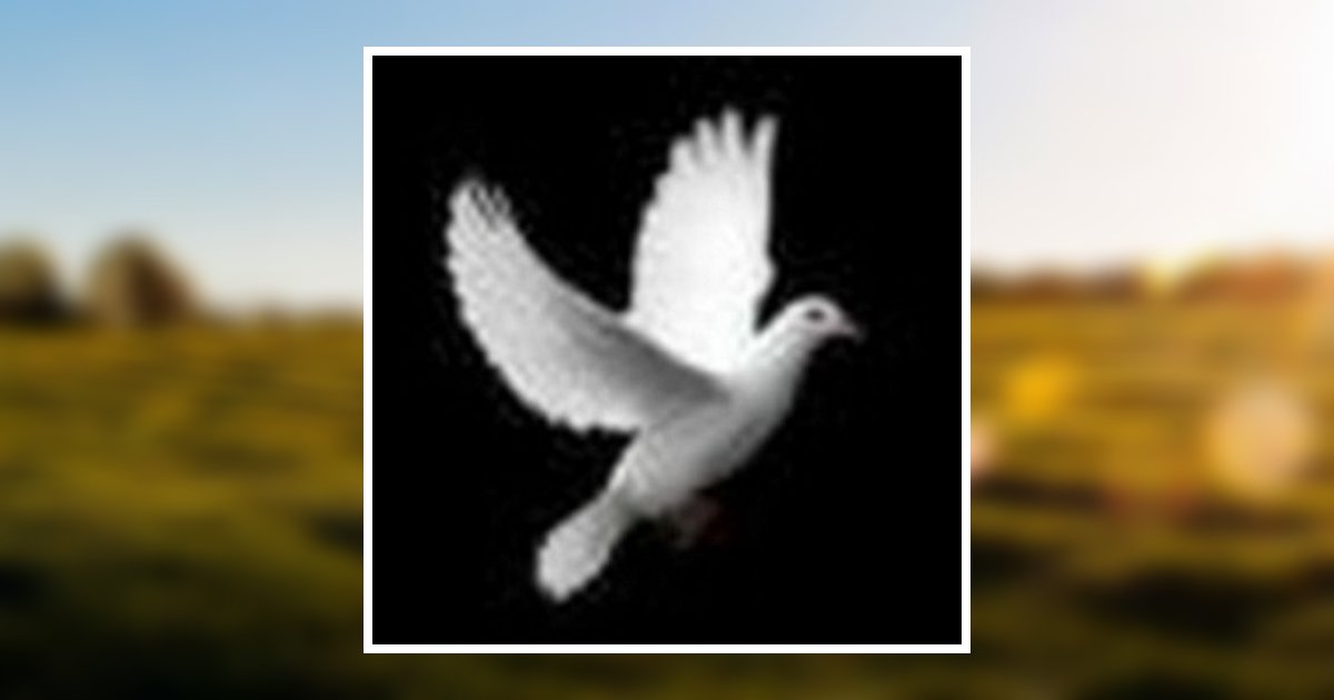 Carol E. Reed Obituary June 7, 2015 - Avery-Storti Funeral Home & Crematory