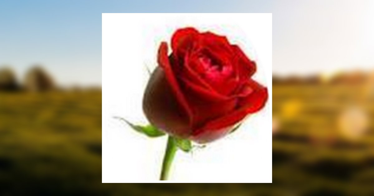 Joseph M Patnode Obituary January 29, 2014 - Brown Funeral Home