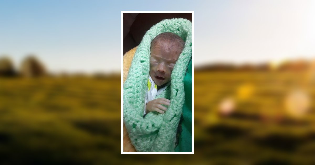 Jerome James Bradley Lee Obituary June 5, 2020 - Fitzpatrick Funeral Home