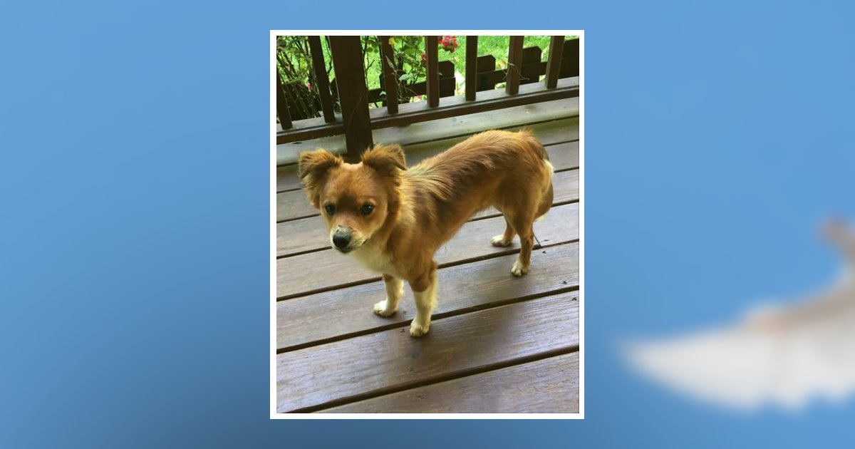 Ardis "Art" Wayne Peters Obituary November 4, 2025 - James Funeral Home