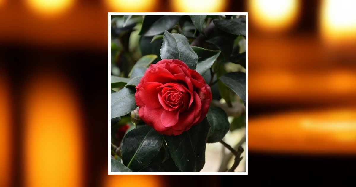 Mary Barron Obituary November 13, 2022 - Crawford Funeral Home