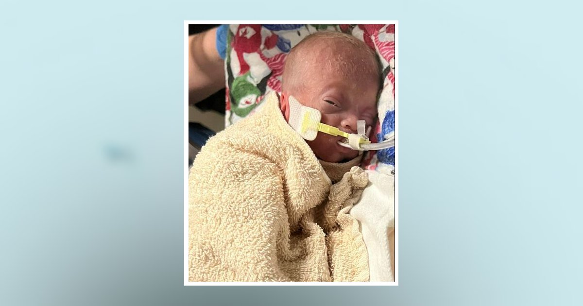 Fennec Nathan Neher Obituary January 1, 2023 - Ledford Family Funeral Homes