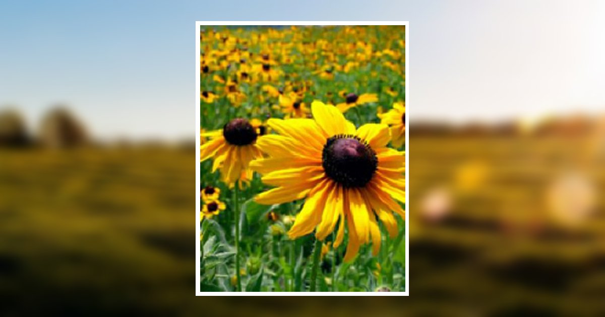 Nancy W. Kaysen Obituary June 19, 2012 - Mueller Funeral Homes & Crematory