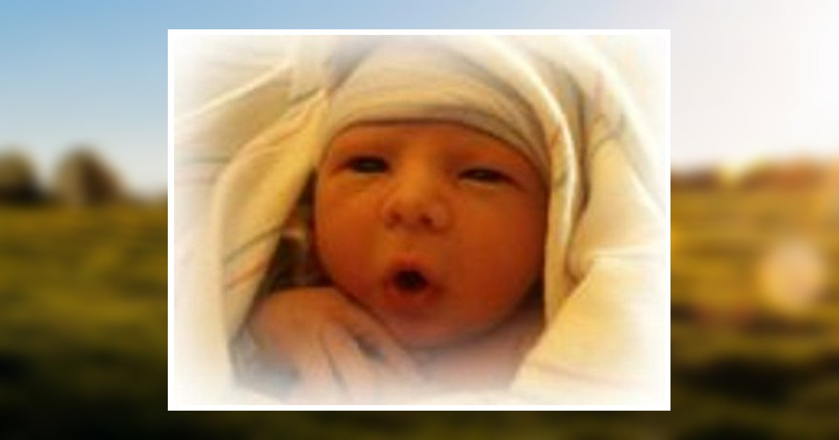 Ryland Jackson Allison Obituary 2011 - Hatmaker Funeral Home