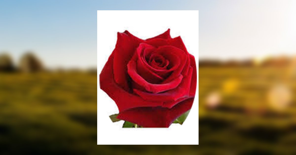 Cathy Resnick Obituary February 17, 2017 - E. Alvin Small Funeral Home