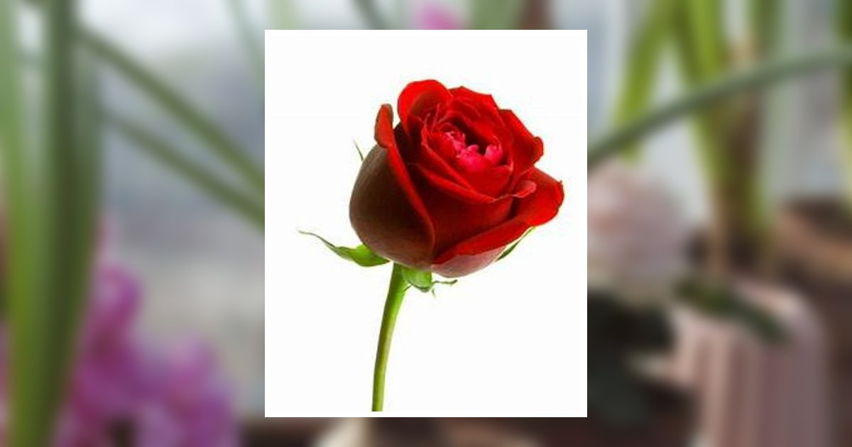 Joy L. (Griesemer) Strunk Obituary July 9, 2019 - Walbert Funeral Home ...