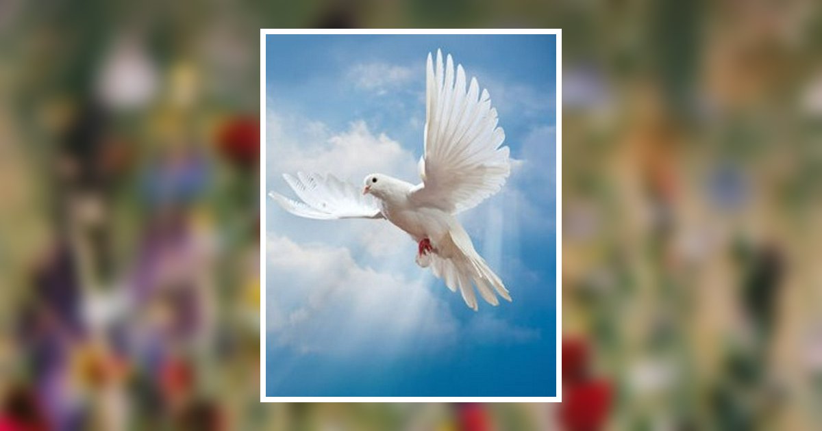 Barbara Ann Parham Ritter Obituary May 27, 2022 - E. E. Pickle Funeral Home