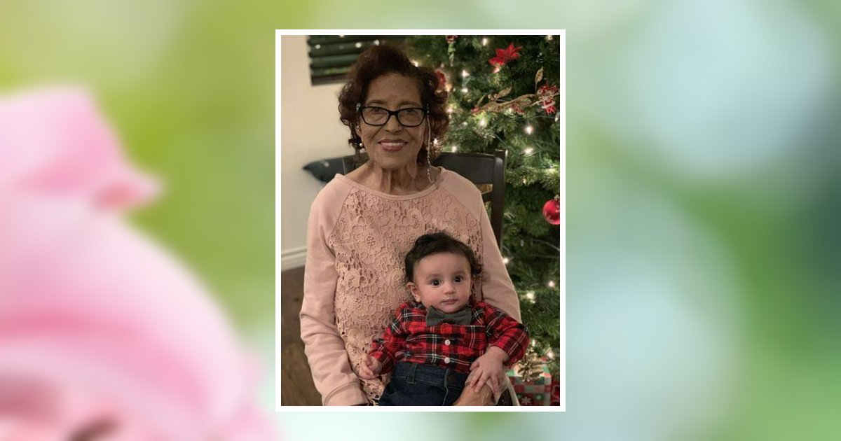 Maria Elena Rocha Obituary December 14, 2019 - Forest Lawn