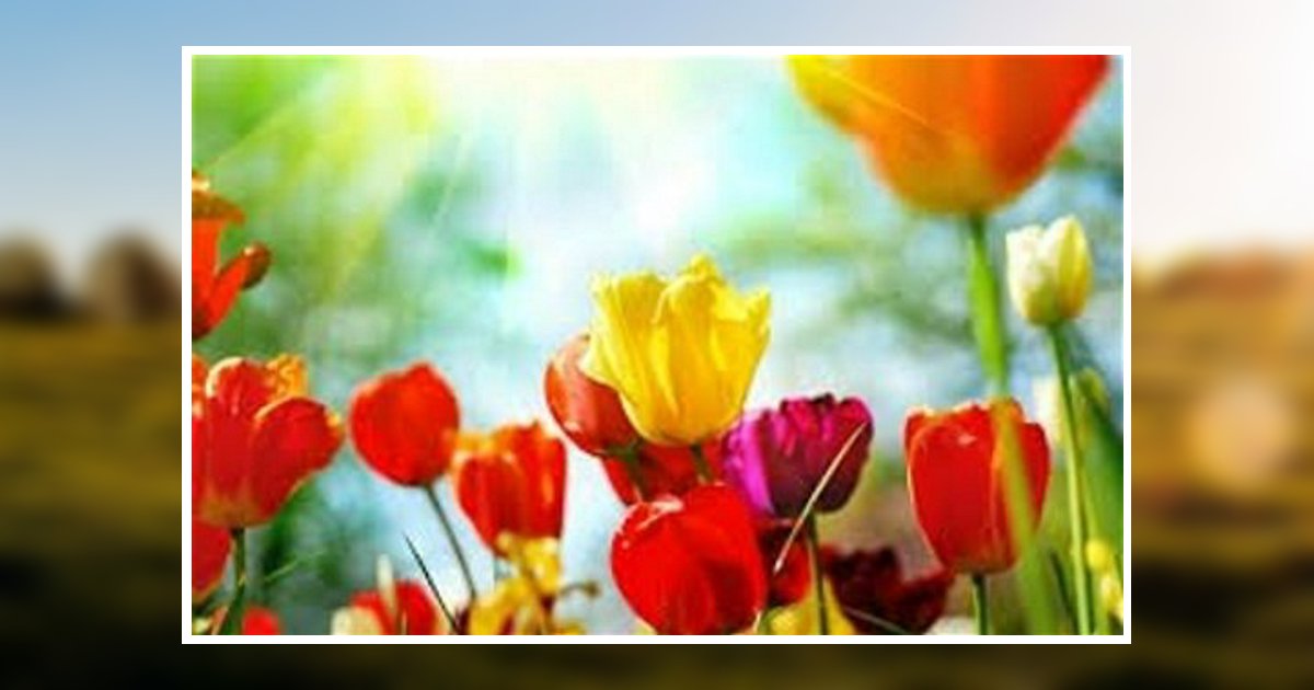 Carolyn Jacobs Hampson Obituary March 2, 2024 - Hastings Funeral Home ...