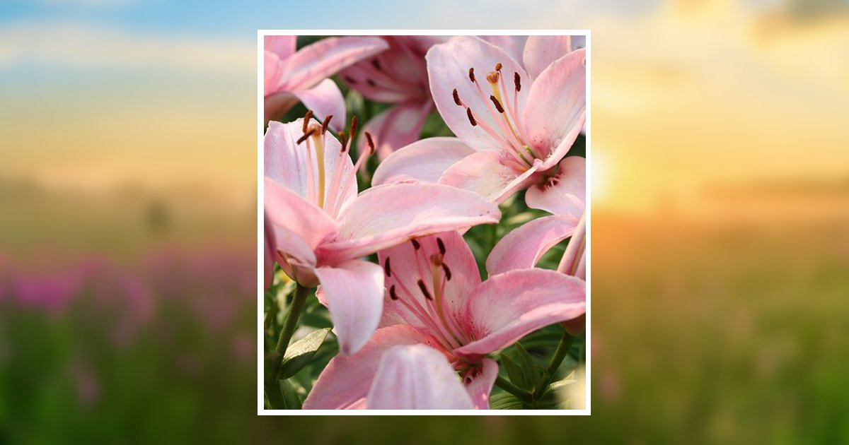 Carol Bertsch Obituary May 21, 2025 - Brenny Family Funeral Chapel and ...