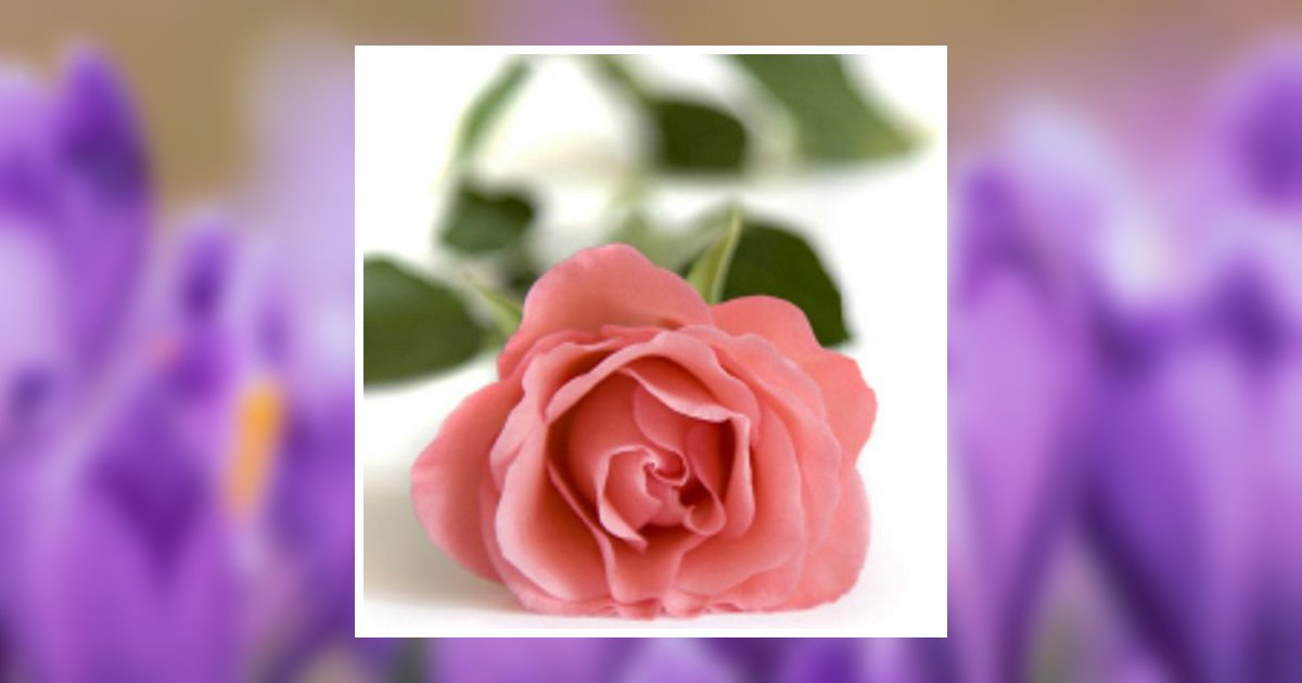 Pamela S. Rash Obituary October 13, 2011 - Newcomer Orlando