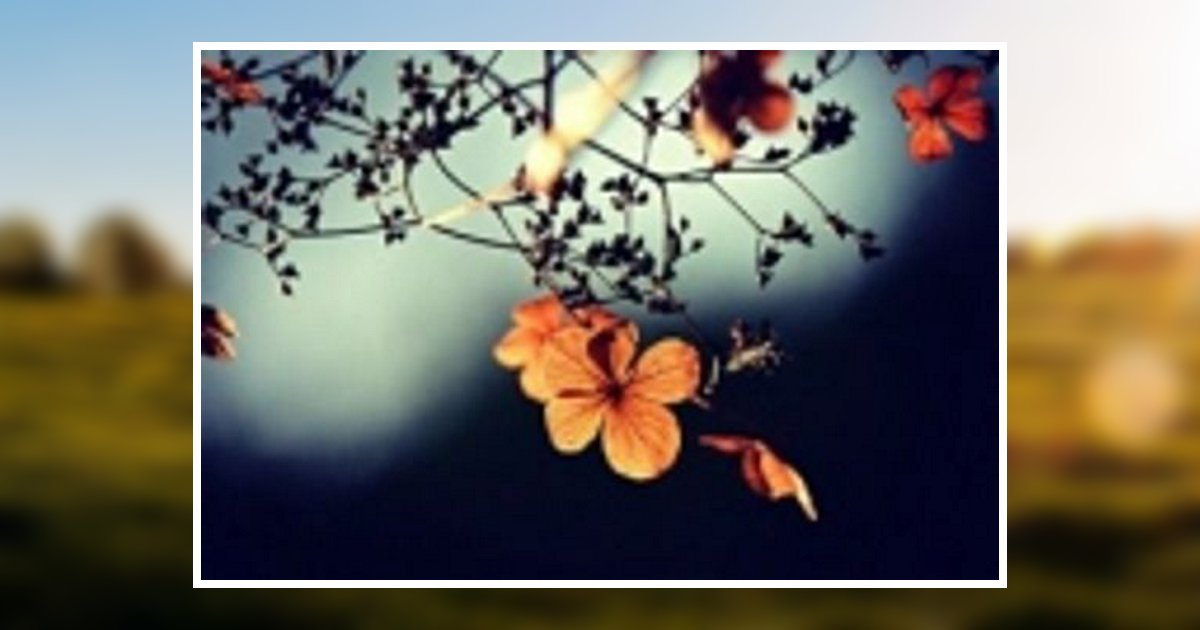 Darrell Lee Wayman Obituary January 3, 2019 - Jerry W Kinley Funeral Home