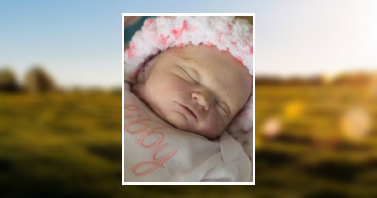 Libby Ray Obituary February 23, 2018 - Hayworth - Miller Funeral Homes ...