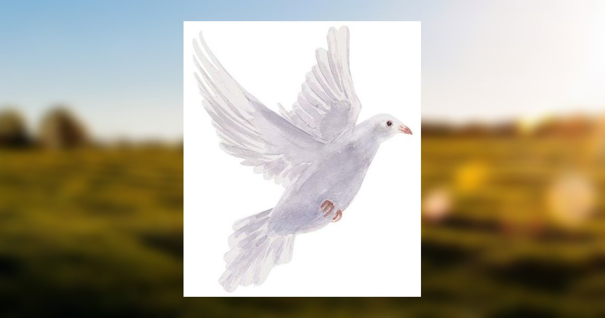 Jessie L Strohmetz Obituary March 28, 2011 - Ludwick Funeral Homes and ...