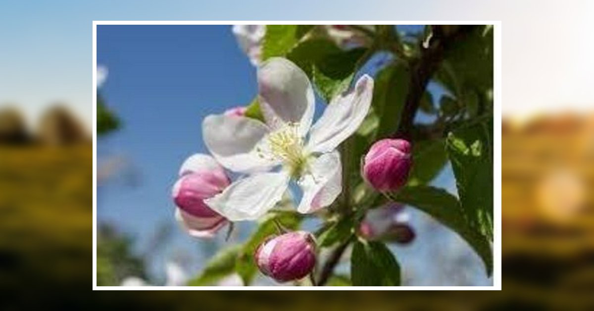 Flora Rogers Newman Obituary April 4, 2019 - Gordon Funeral Home ...