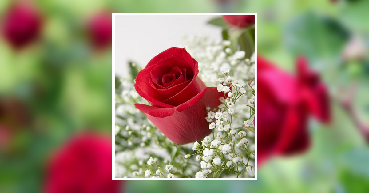 Kristina Rose Bowman Obituary December 10, 2025 - Krueger Funeral Home