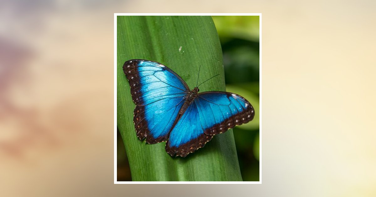 Rose Barnes Obituary July 5, 2025 - Replogle Lawrence Funeral Home