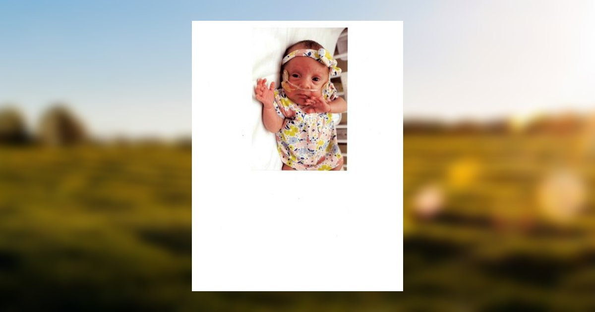 Rayli Ada-Ruth Beecham Obituary June 24, 2021 - Dansby Heritage Chapel