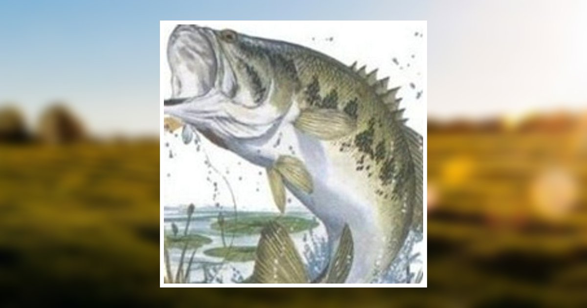 Daniel R Robinson Obituary November 3, 2015 - Gearty-Delmore Funeral ...