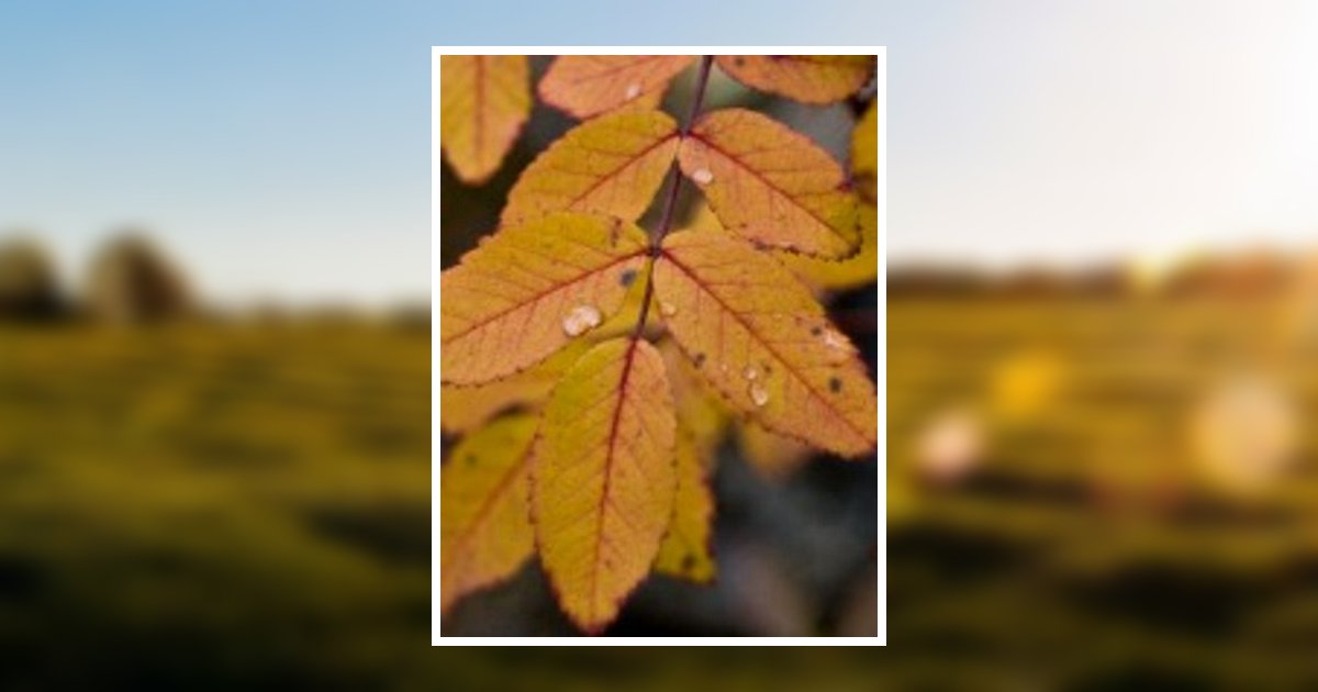 Thomas J. Collick, Iii Obituary - Winkel Funeral Home