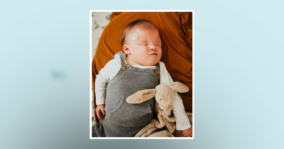 Asher James Hamilton Obituary March 25, 2023 - Serenicare