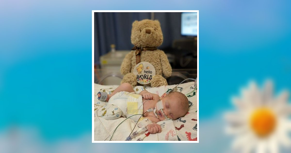 Eleanor Harper Shoemaker Obituary June 12, 2024 - Johnson County ...