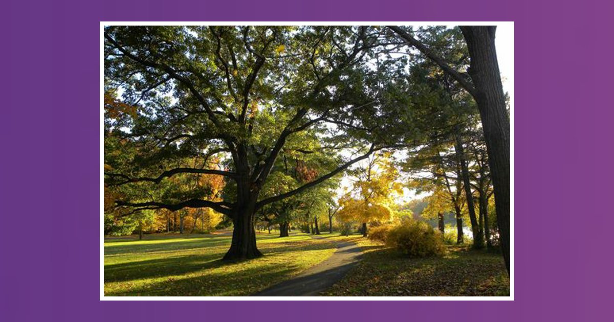 David Earle Carson Obituary January 2, 2017 - Rochester Cremation