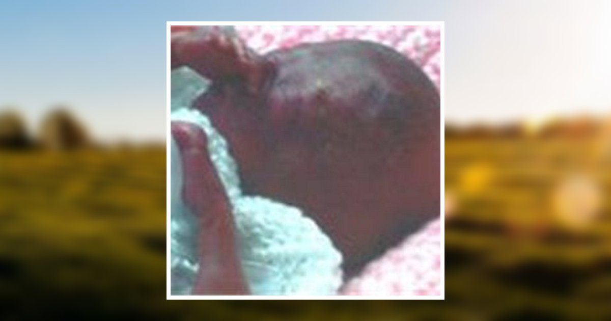 Sophia Marie Goldsmith Obituary December 29, 2008 - Murdoch Funeral ...