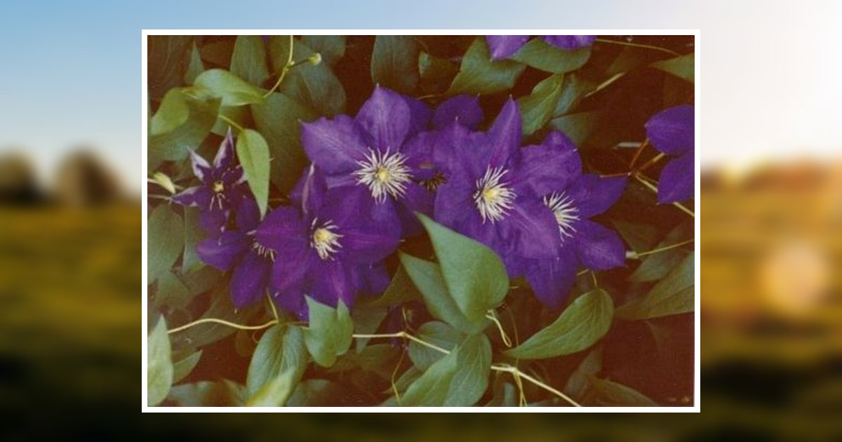 Thomas And Lorena Condon Obituary April 24, 2002 - Olney Foust Funeral ...